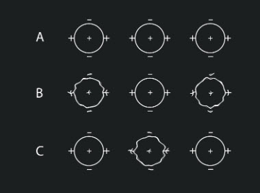 Soft Lens Fitting and Evaluation: Comprehensive Guide by experts